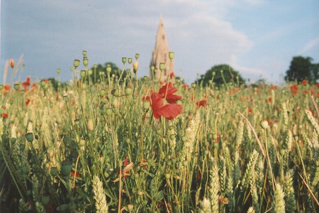 Village History - Buckworth Parish Council Website